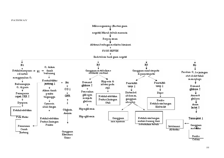Pathway Syok Sepsisdocx | PDF