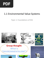 Environmental Worldviews | PDF