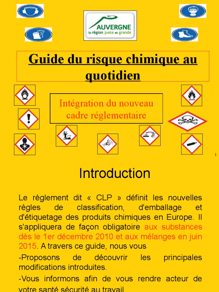 Guide Du Risque Chimique Au Quotidien | PDF | Information nutritionnelle | Sécurité