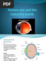 VOICE of RAIN Poetic Devices | PDF