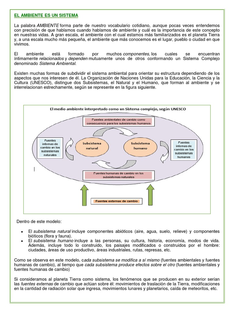 El Ambiente Es Un Sistema | PDF | Entorno natural | Tierra