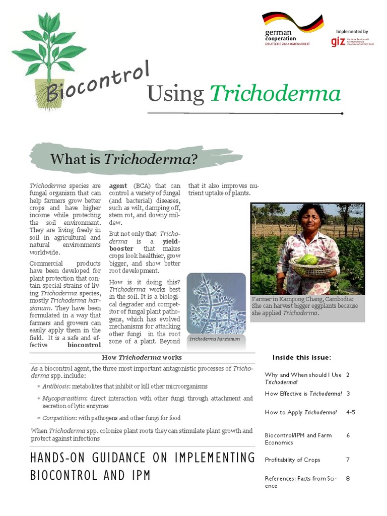 Using Trichoderma for Crop Health | PDF | Crop Rotation | Plants