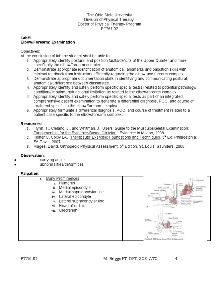 Lab#1 Elbow/Forearm: Examination: PT761.02 M. Briggs PT, DPT, SCS, Atc ...