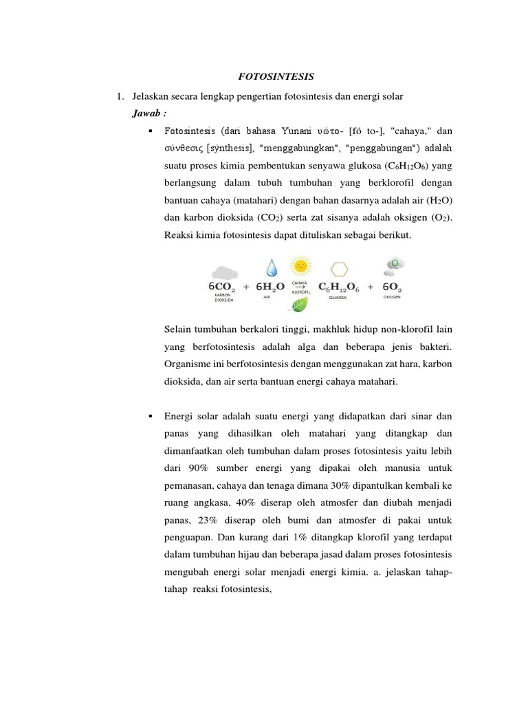 Fotosinesis Biokim | PDF