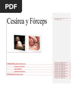 Modelo de PLAN DE PARTO - Argentina | PDF | Seccion de cesárea | Parto