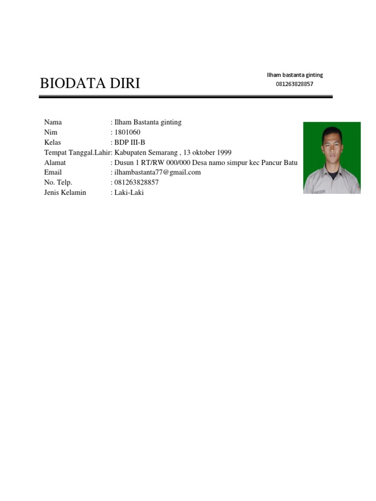 Biodata Ilham Bastanta Ginting | PDF