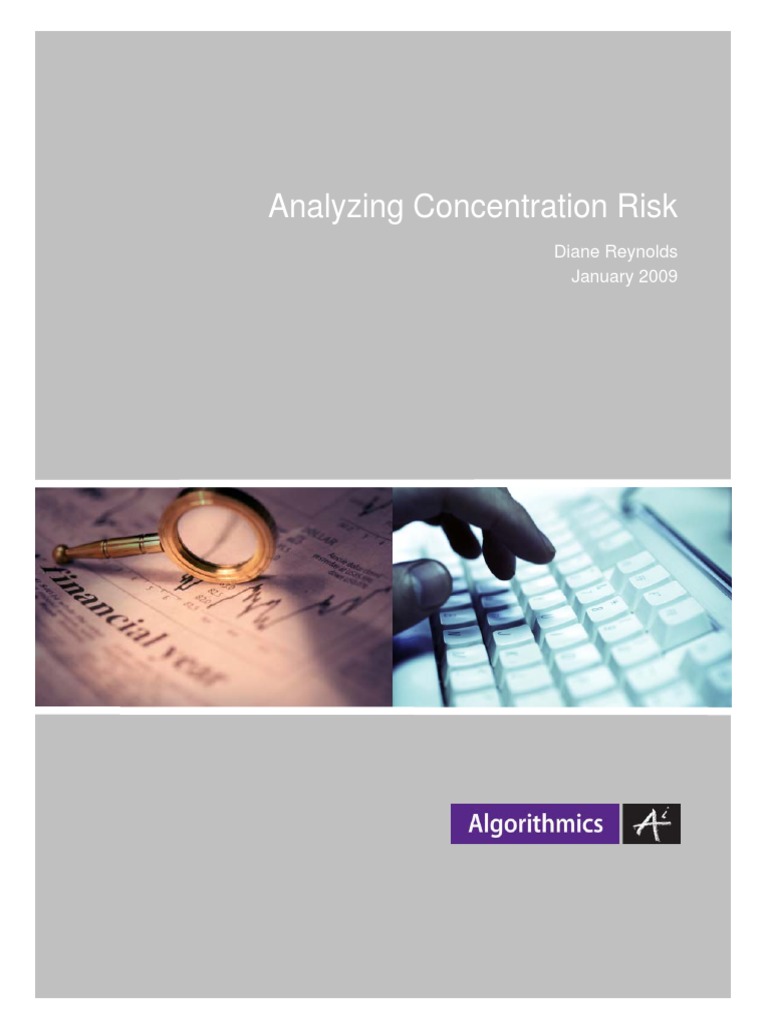 RSKMGT Assignment Analyzing Concentration Risk | PDF | Risk ...