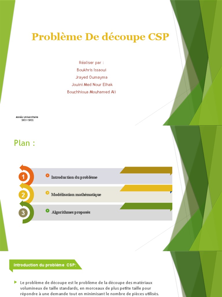 Problème de Découpe CSP | PDF | Algorithme génétique | Programmation informatique