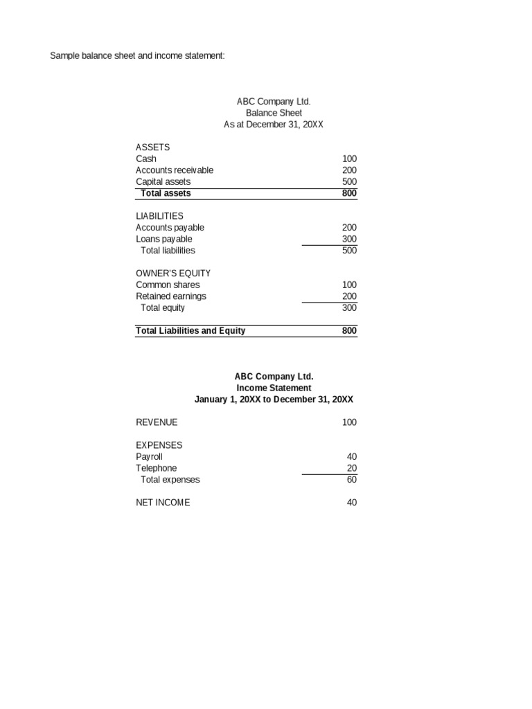 ABC Company Balance Sheet & Income Statement | PDF