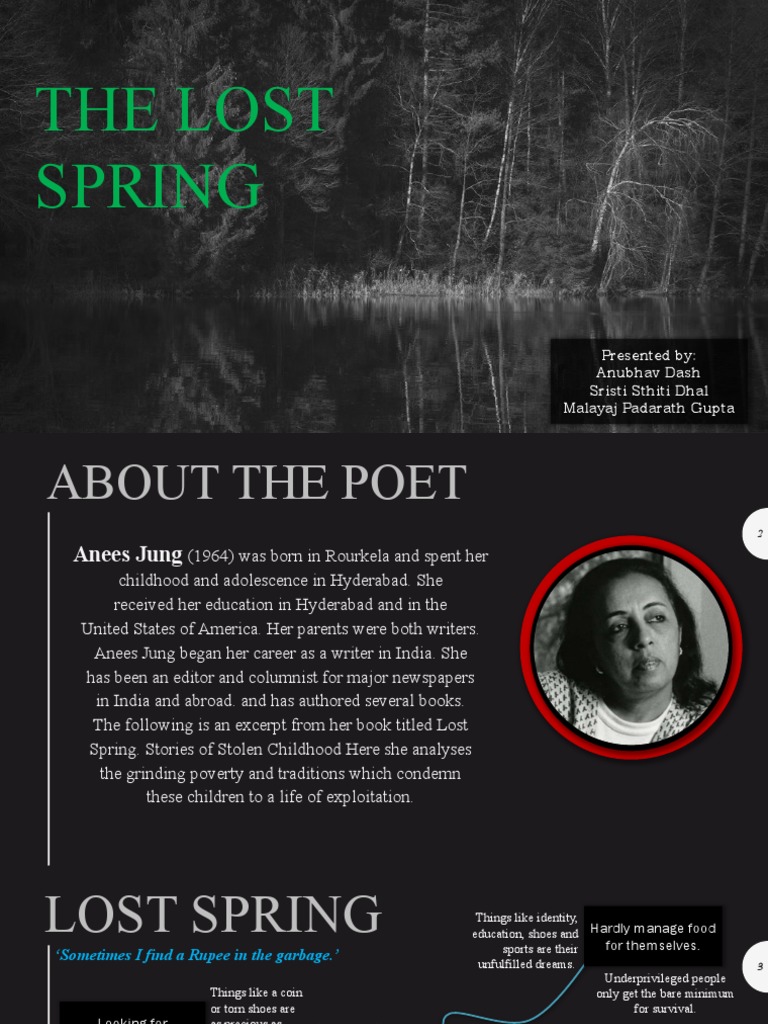 Lost Spring | PDF | Slum