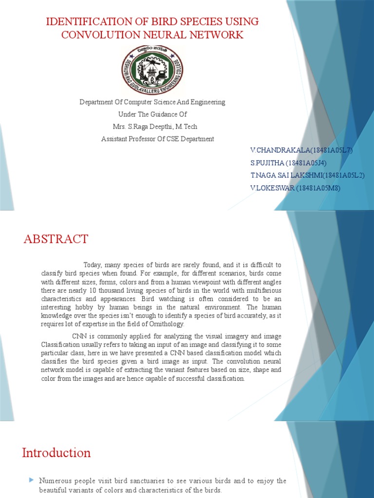 Identification of Bird Species Using Convolution Neural Network: A Deep Learning Approach | PDF ...
