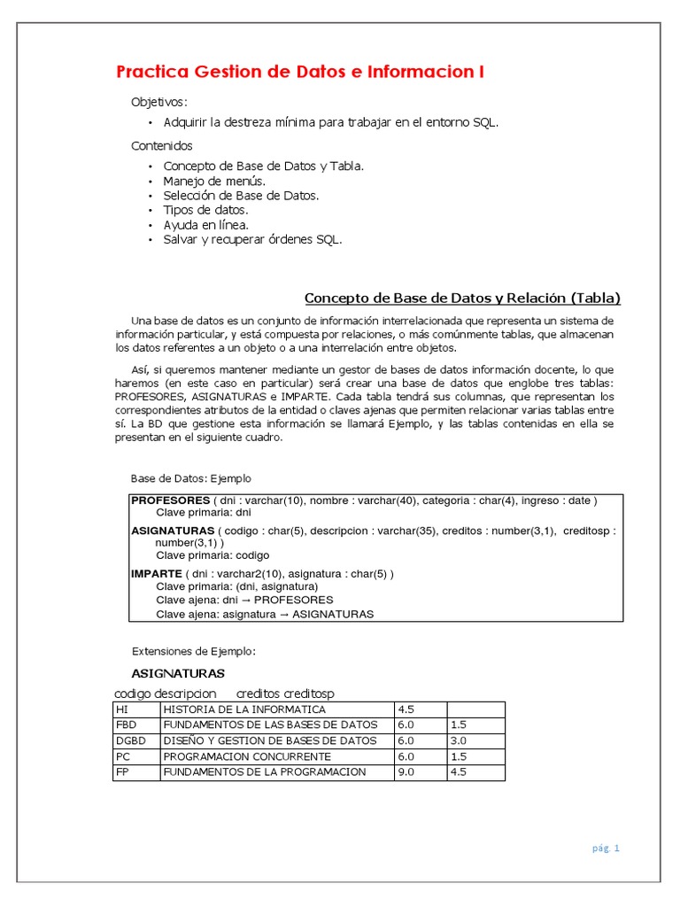 Practica Consultas SQL | PDF | Byte | Bases de datos