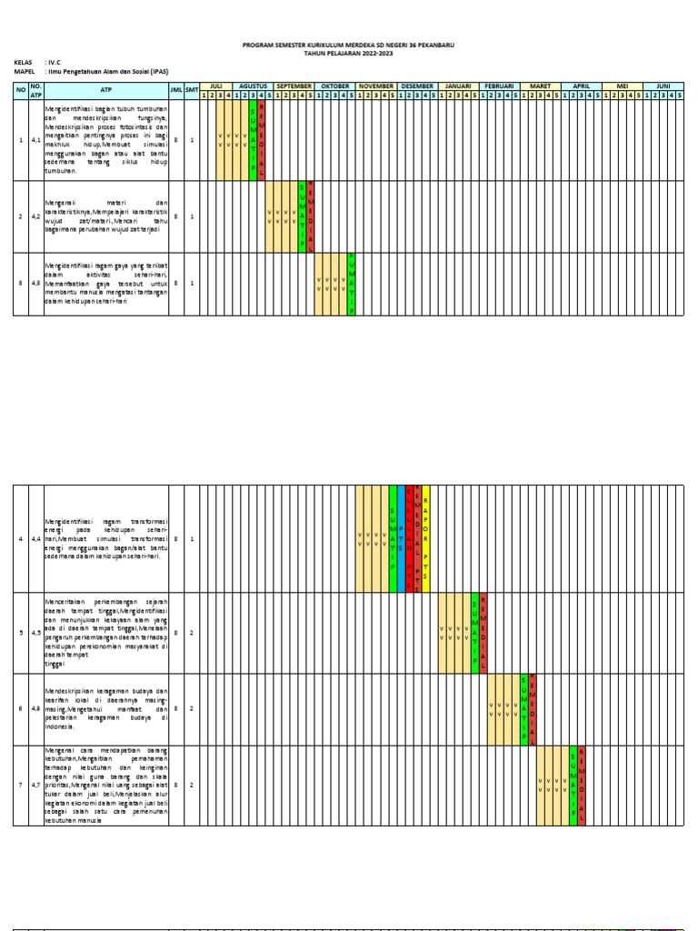 Prosem Ipas 4c | PDF