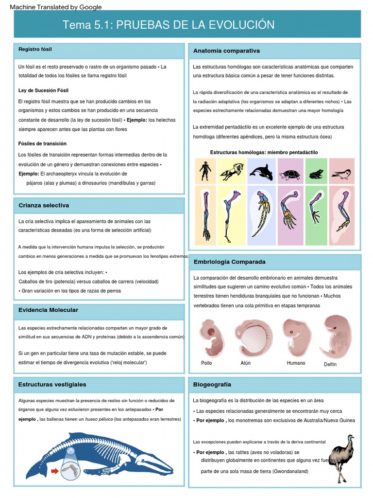 5.1 Evidence For Evolution | PDF | Evolución | Homología (biología)