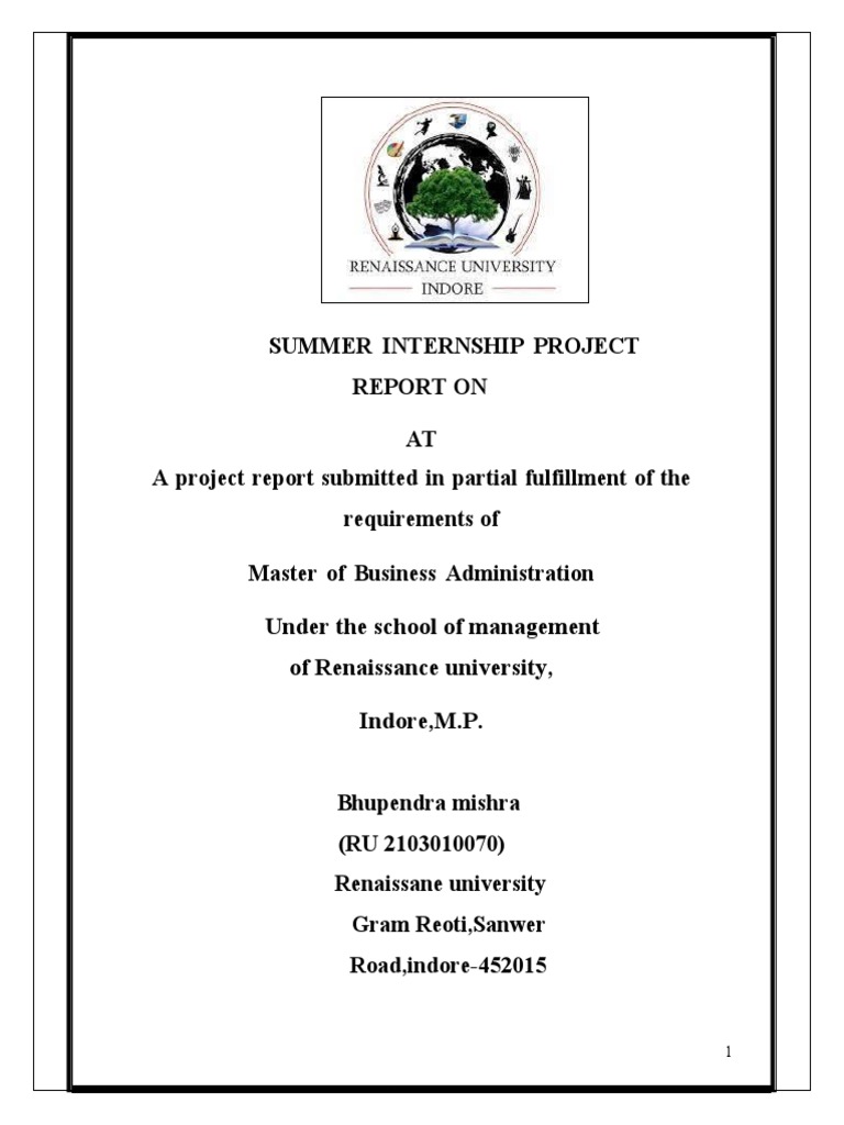 Summer Internship Project Swan Investmart Limited Pdf Stocks