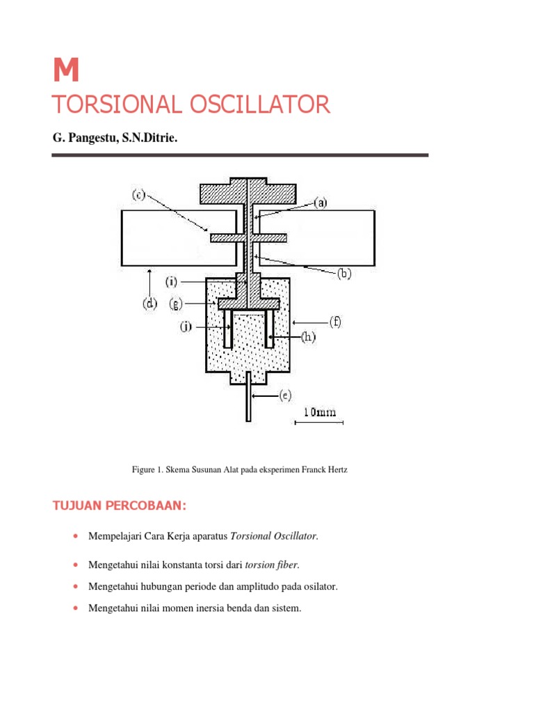 M - Torsional Oscillator | PDF