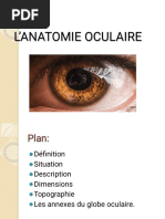 SCLERE Anatomie | PDF | Cornée | Anatomie