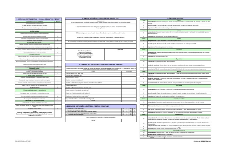 057 Escalas Geriátricas 2021 | PDF
