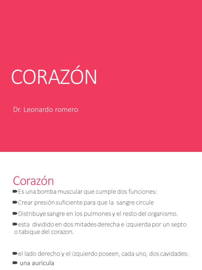CORAZÓN PDF | PDF | Corazón | Sistema circulatorio
