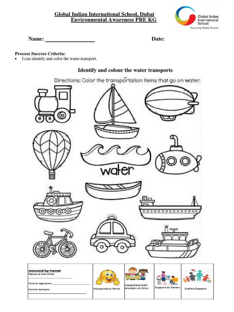 Identify and Colour Water Transport | PDF