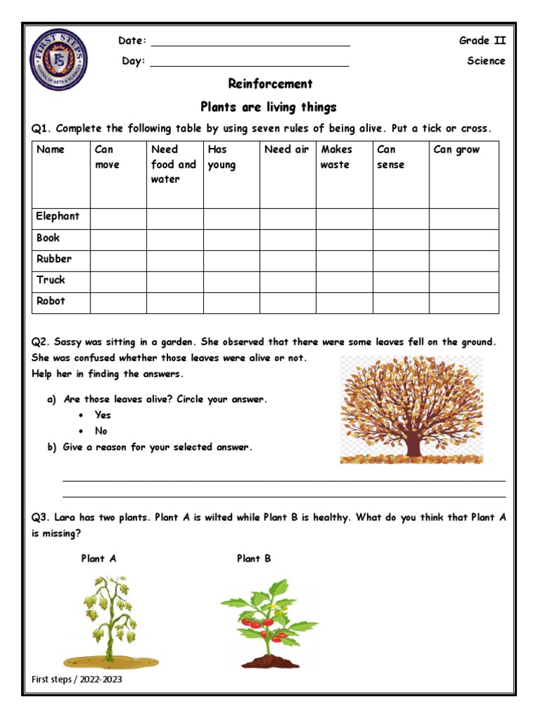 Reinforcement Worksheet | PDF | Wellness | Science & Mathematics