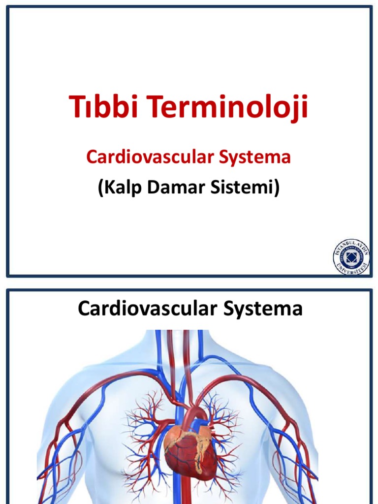 Tıbbi Terminoloji: Cardiovascular Systema | PDF