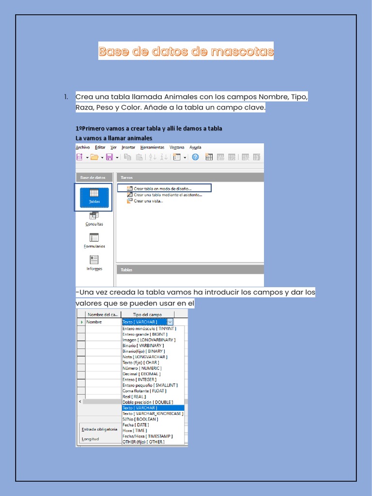 Ejercicio de BBDD | PDF | Informática