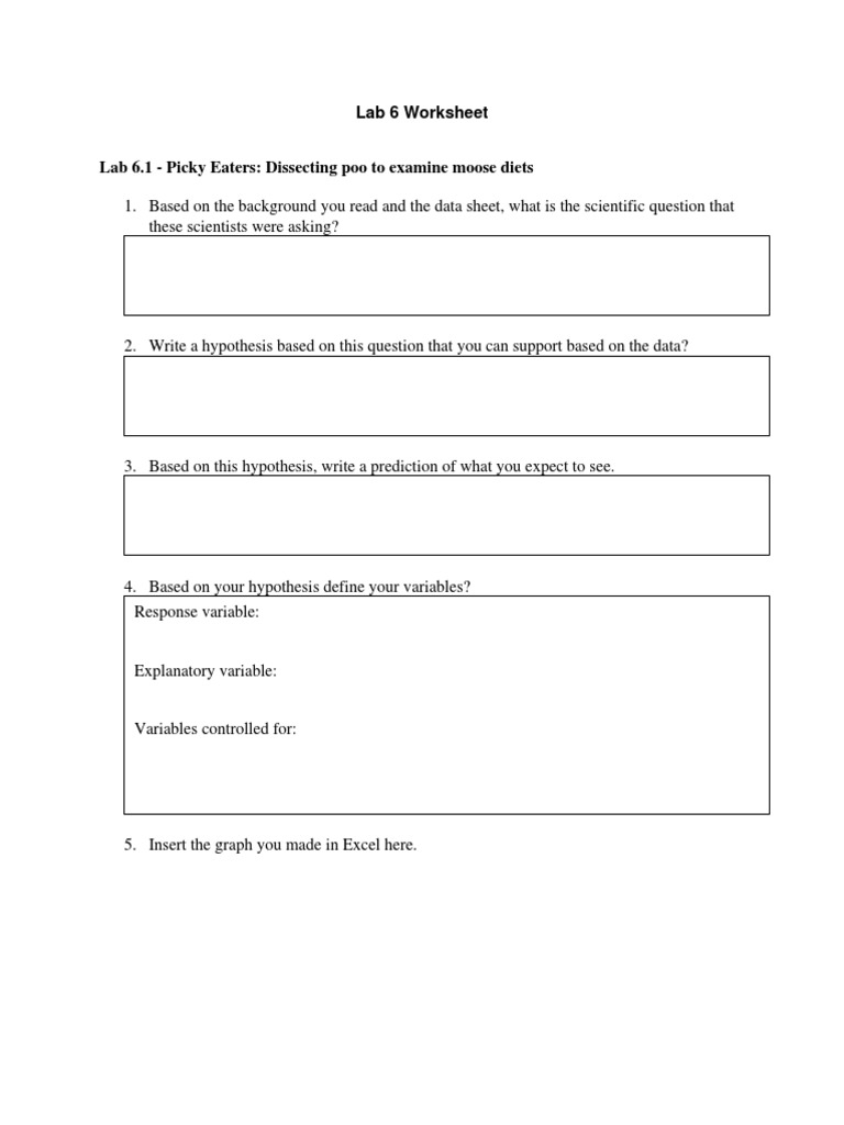 Lab 6 Worksheet | PDF