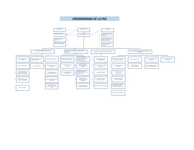 Organigrama Fao | PDF | Organización de Comida y Agricultura | Agricultura