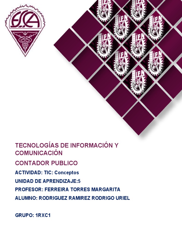 TIC Conceptos | PDF