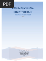 Irrigación e Inervación del Colon | PDF | Intestino grueso | Recto