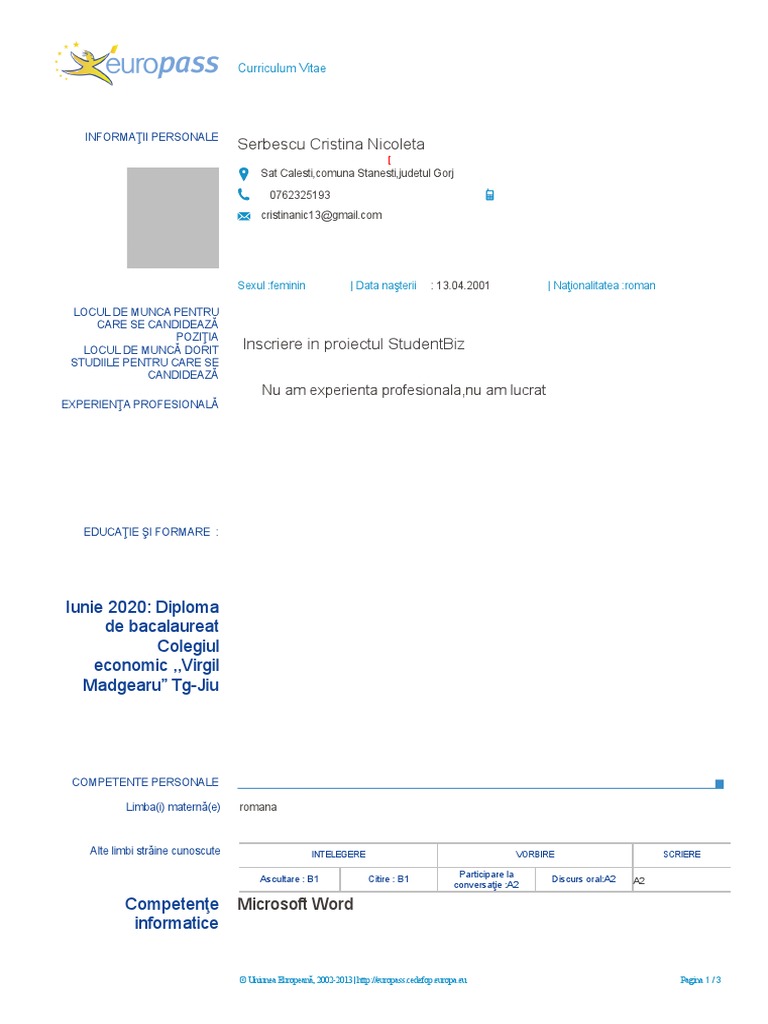 Model CV Europass | PDF