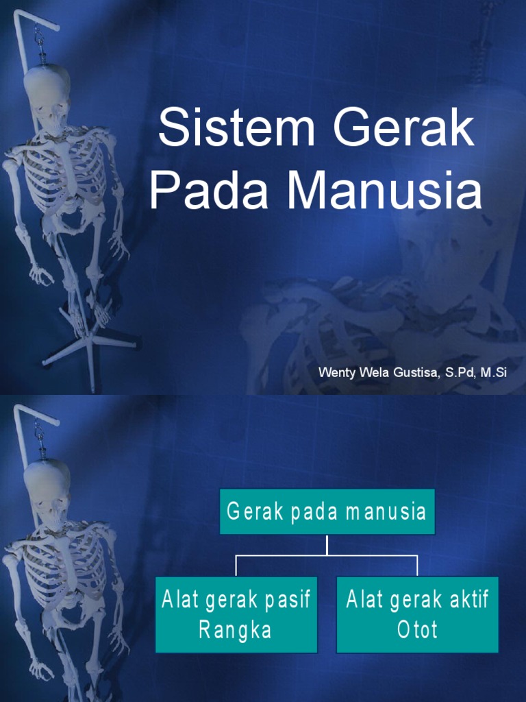 Alat Gerak | PDF | Ilmu Sosial