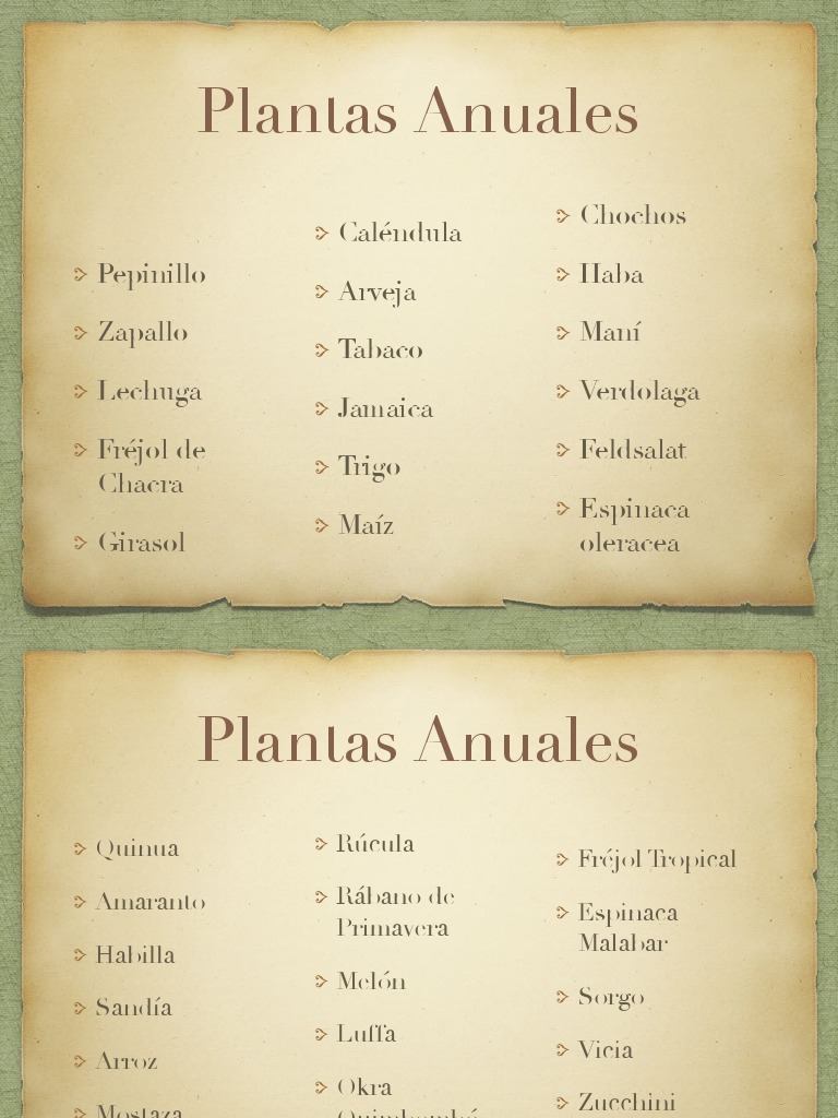 Plantas Anuales Bianuales Perennes | PDF