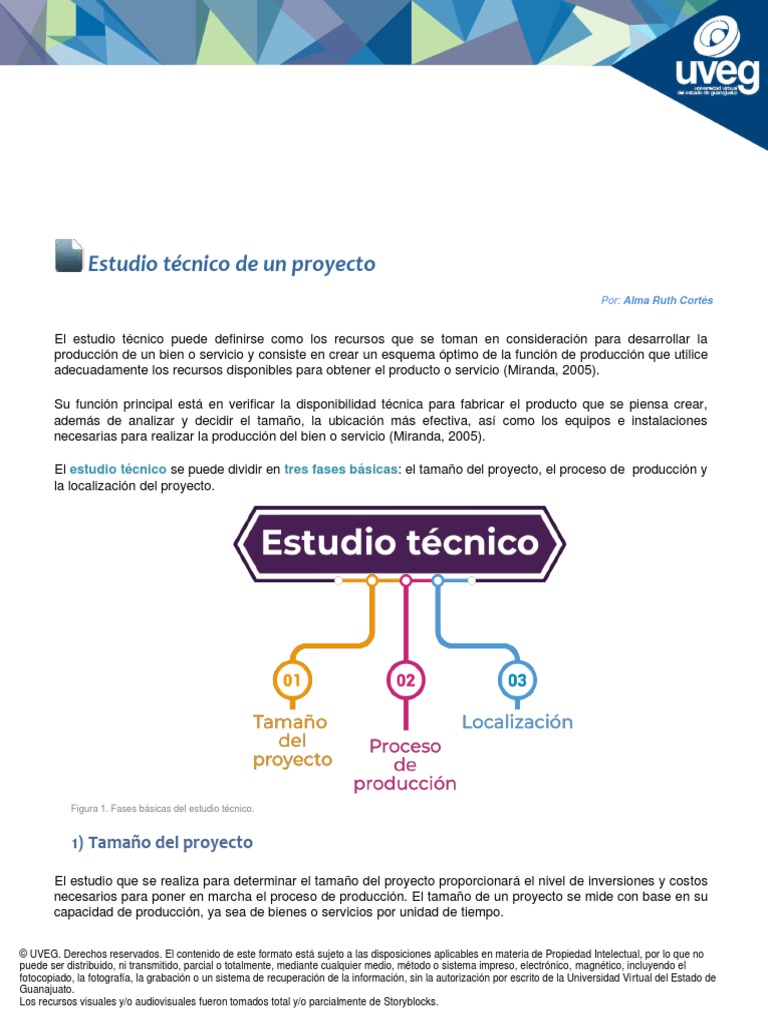 Estudio Técnico de Un Proyecto | PDF | Propiedad intelectual | Importar