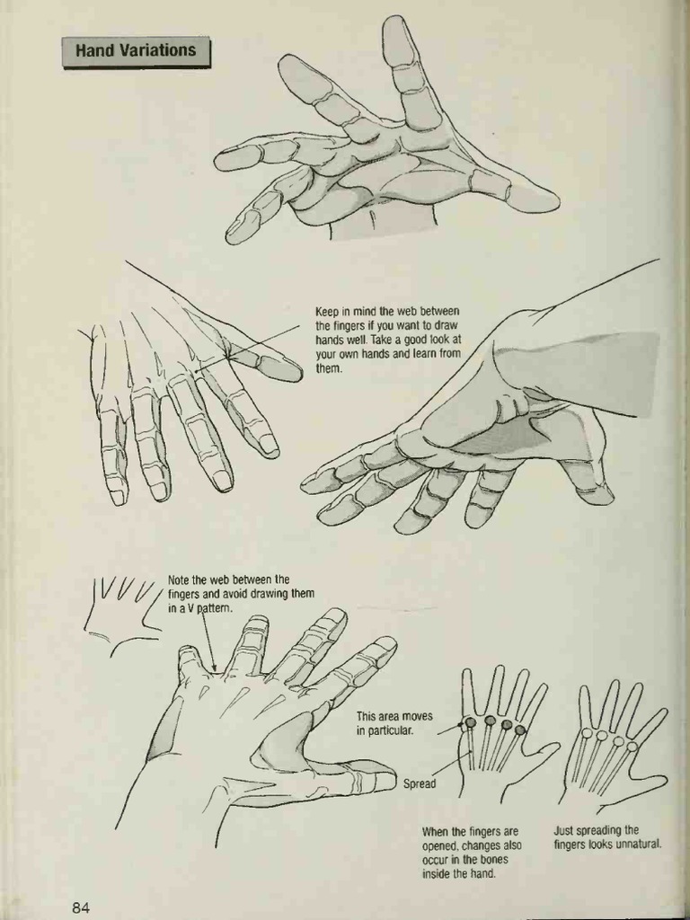 How To Draw Manga, Volume 4 - Bodies & Anatomy (PDFDrive) - Compressed-4 | PDF