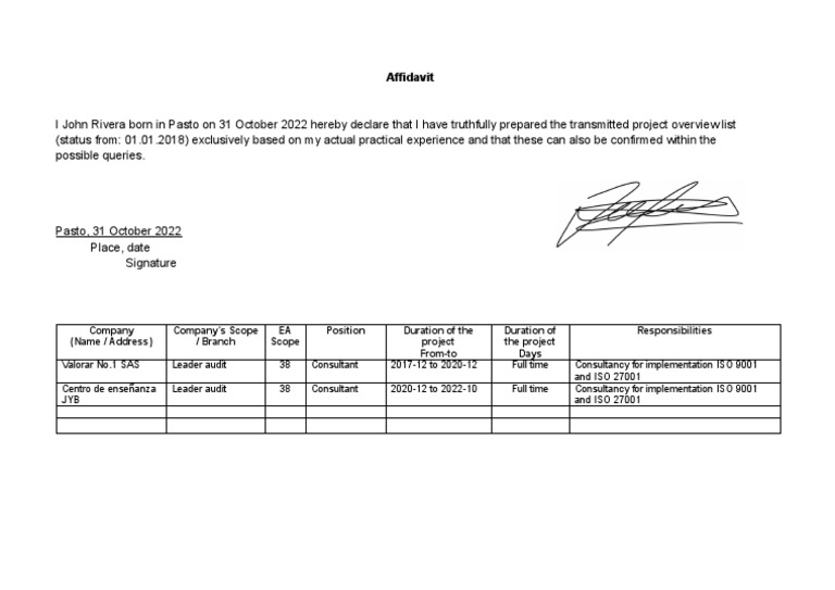 04 - Work Experience - Affidavit - Consulting | PDF