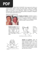 Ángulo de Louis | PDF | Tórax | Anatomía humana