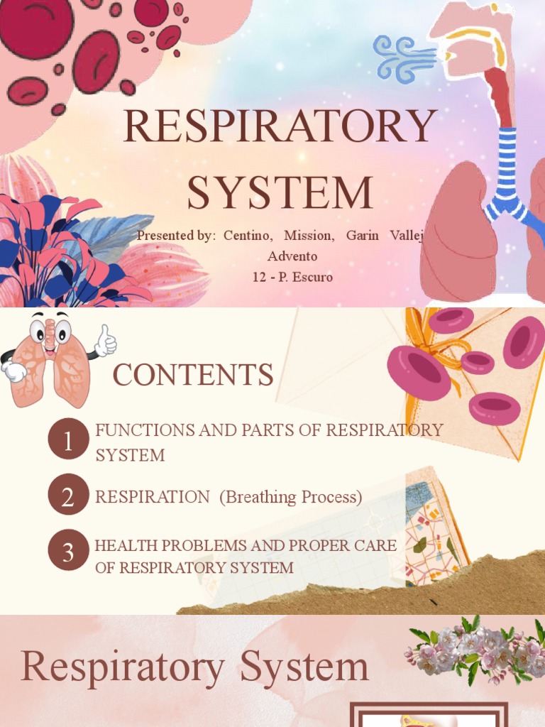 Respiratory System Explained | PDF | Respiratory Tract | Respiratory System