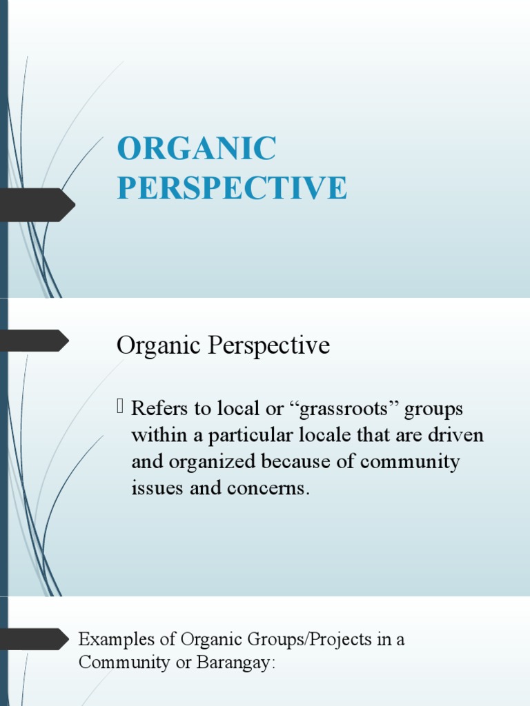 Grassroots Perspectives in Community Initiatives | PDF