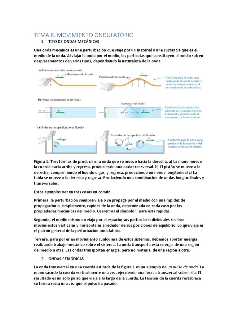 E TEMA 8 MOVIMIENTO ONDULATORIO | PDF | Olas | Naturaleza