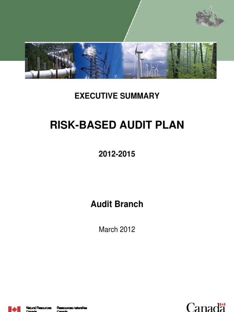 Risk-Based Audit Plan | PDF | Internal Audit | Audit