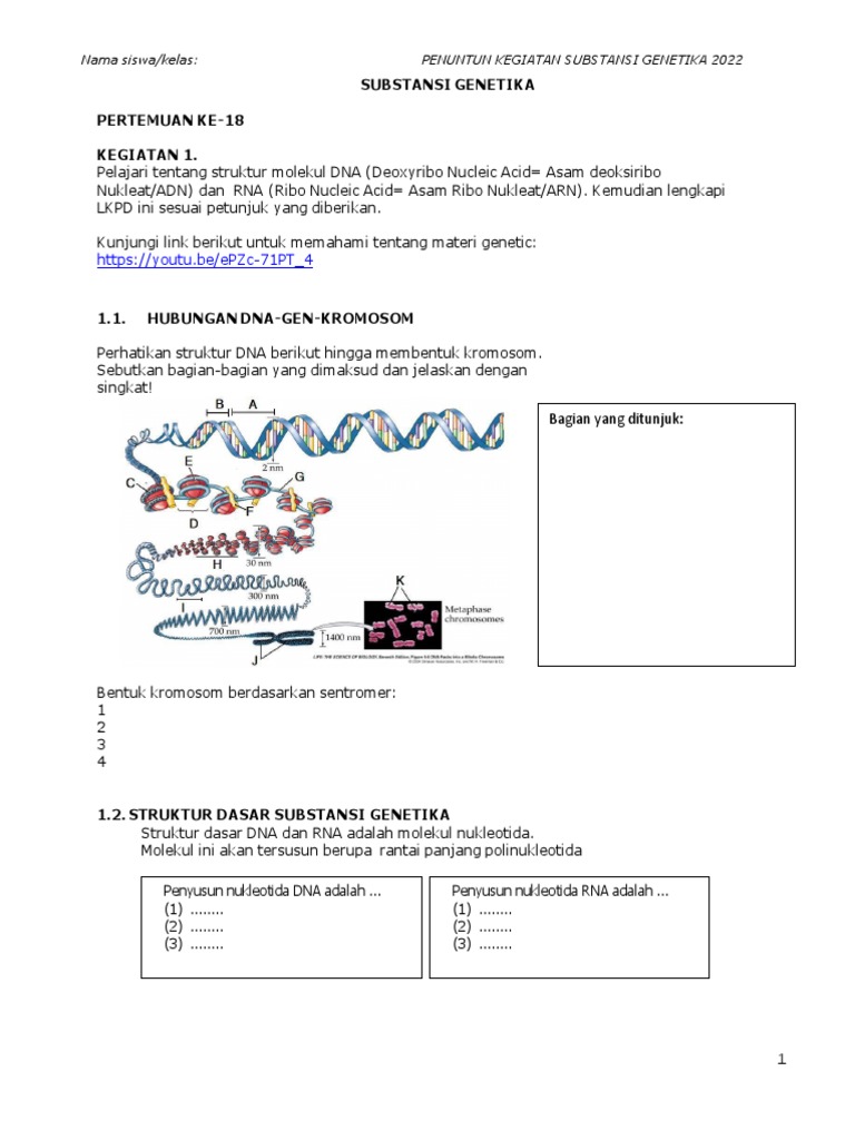 Panduan Substansi Genetika 2022 | PDF