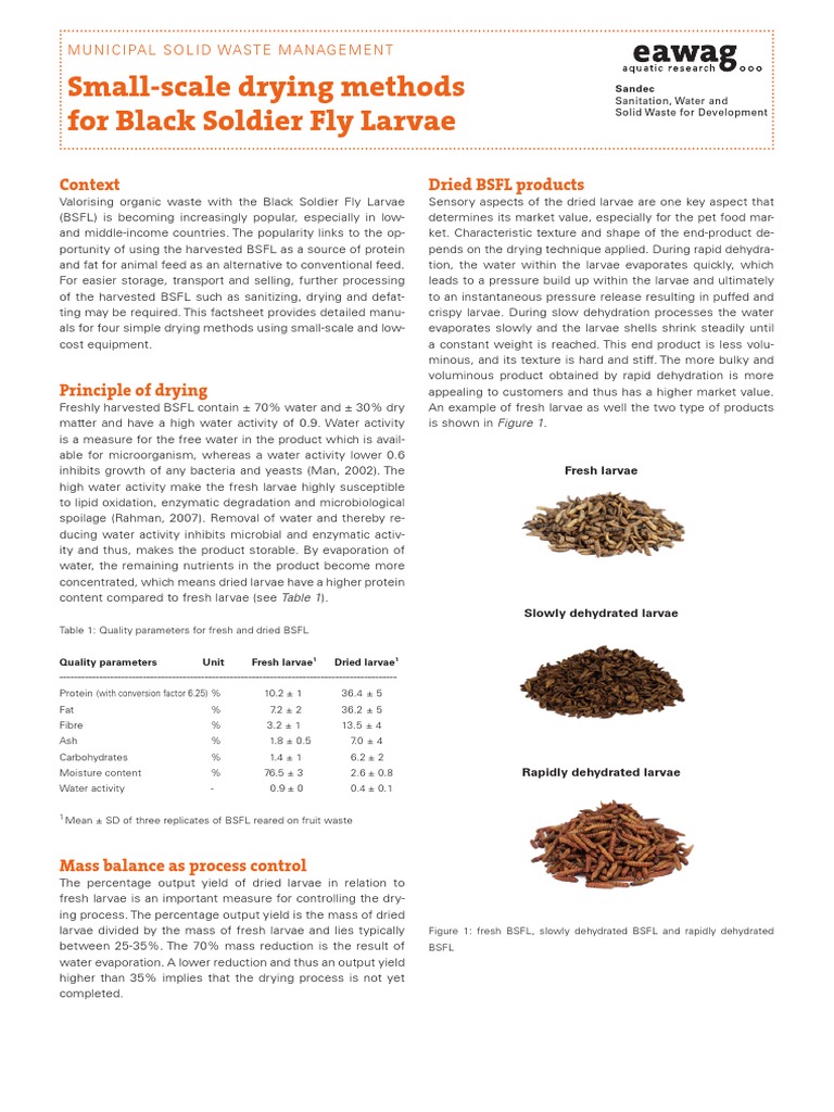 Small-Scale BSFL Drying Methods Guide | PDF | Oven | Water