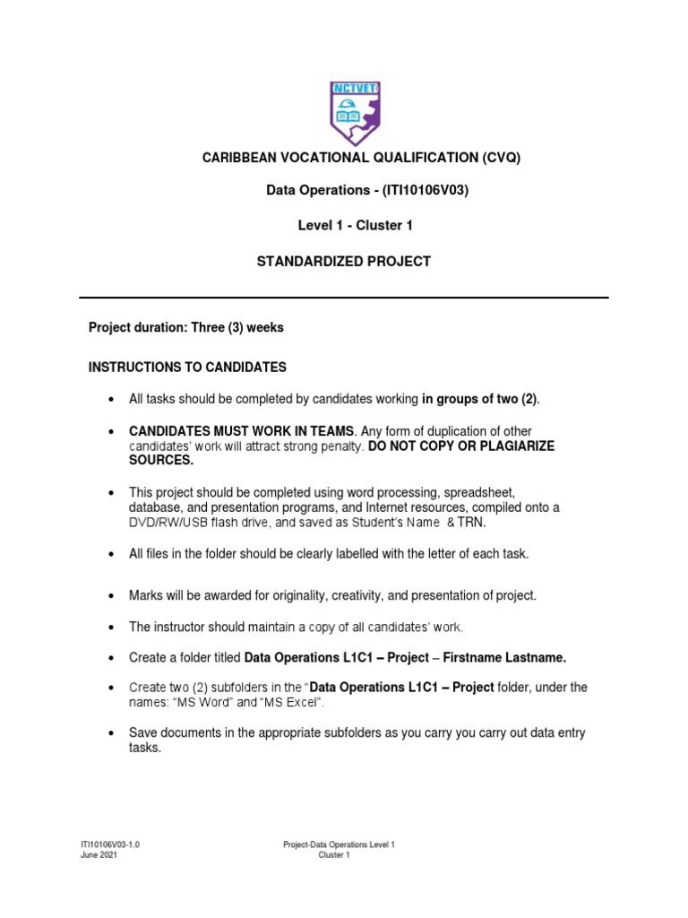 CVQ Data Operations Level 1 Project | PDF | Microsoft Excel | Spreadsheet