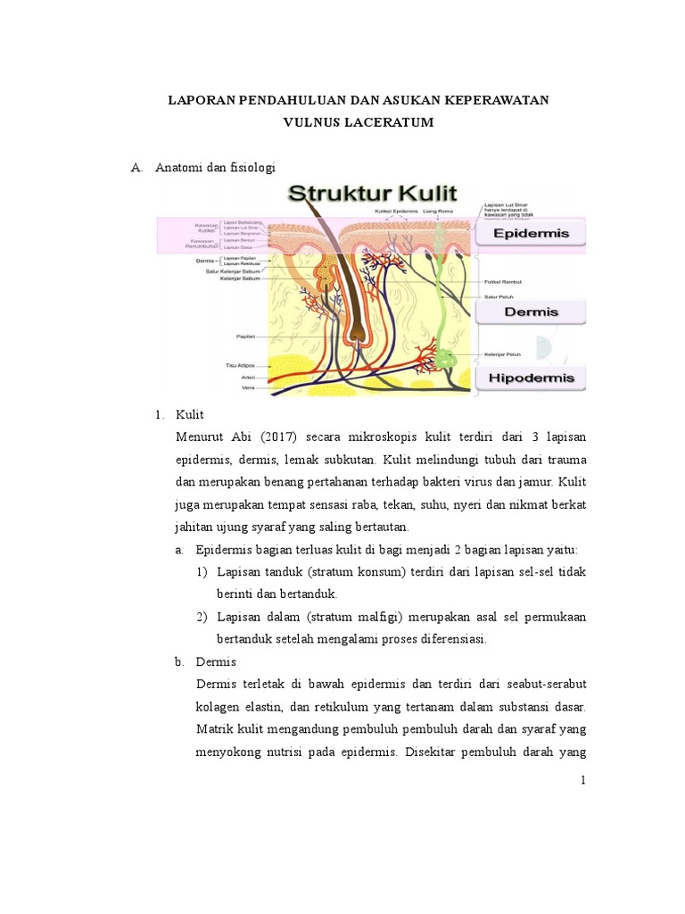 Asuhan Keperawatan Vulnus Laceratum | PDF