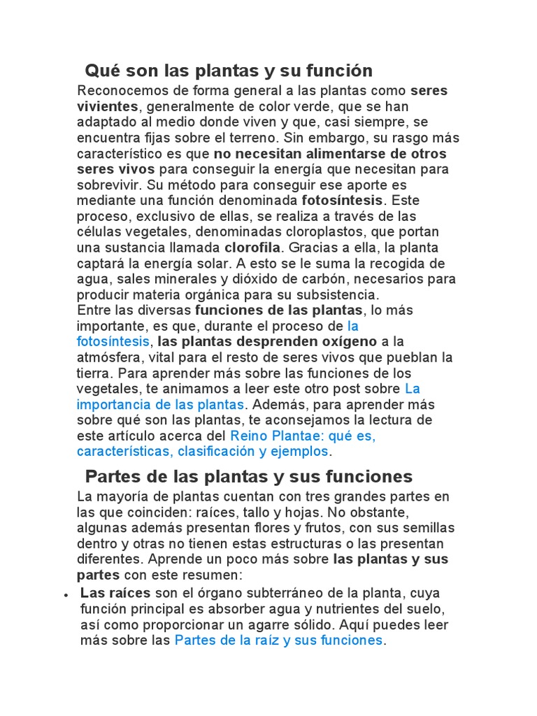 Qué Son Las Plantas y Su Función | PDF | Plantas | Tallo de la planta