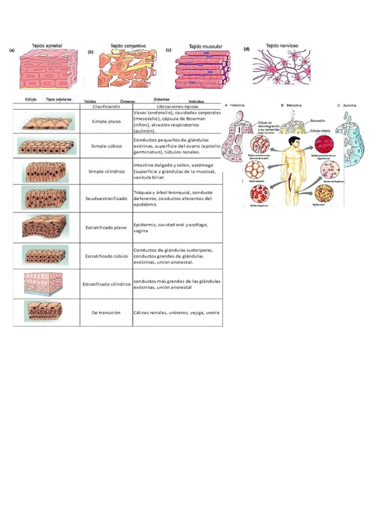 Modelo De Carta De Confirmaci N Ejemplos De Resume