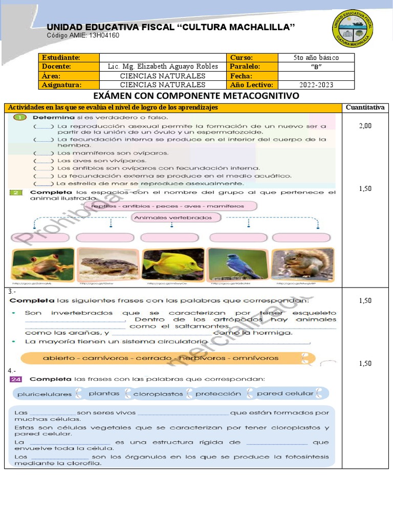 Examen CCNN I Q. 2022 | PDF