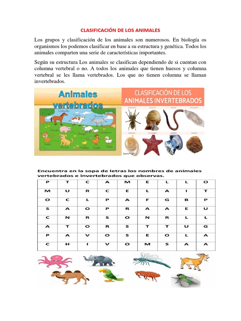 Clasificación de Los Animales | PDF